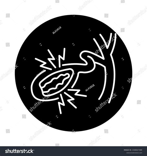 Cholesterosis Gallbladder Color Line Icon Human Stock Vector Royalty