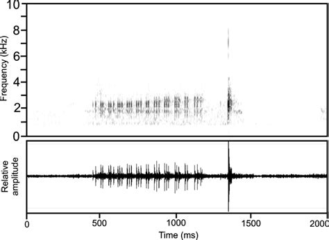 Audiospectrogram And Corresponding Oscillogram Of The Advertisement