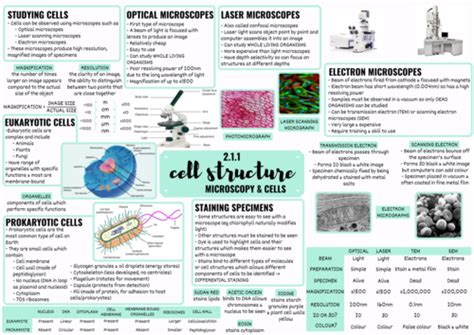 Ocr Alevel Biology Cell Structure Teaching Resources