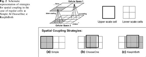 Schematic Representation Of Strategies For Spatial Coupling In The Case Download Scientific
