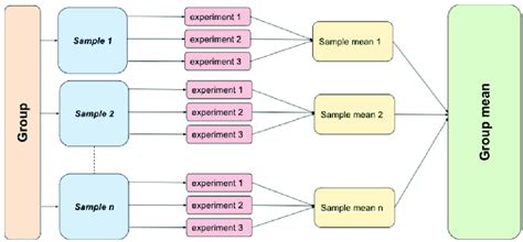 Scheme Of Conducting Experiments And Calculations In Each Group