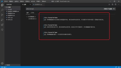 vs code的使用 一 format on paste format on save format on type coderon