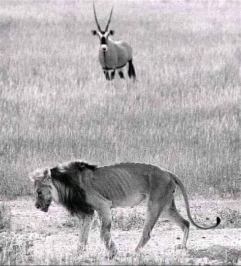 Saima Khan Posted On Linkedin