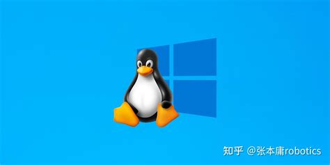 Linux虚拟运行环境：wsl、vmware对比及维护 知乎