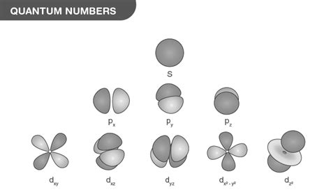 Quantum Numbers Principal Azimuthal Magnetic And Spin Definition Detailed Explanation