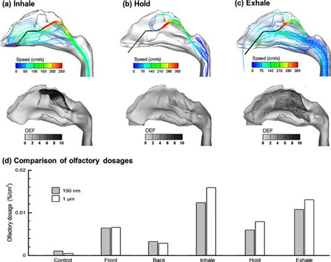 Video Modeling And Simulations Of Olfactory Drug Delivery With Passive And Active Controls Of
