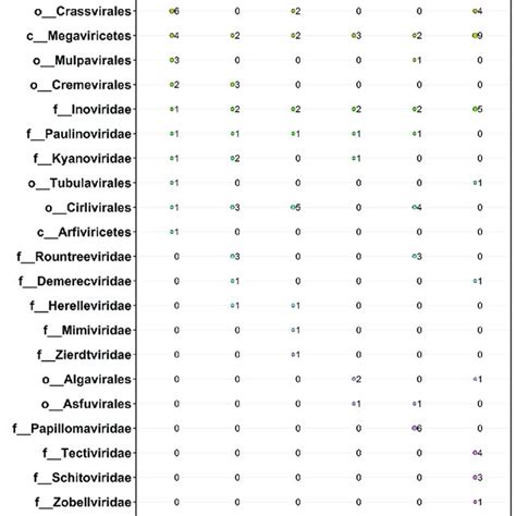 Bubble Plot Built Upon Imgvr Database Comparison Of Dna Viruses