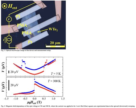 All Electric Measurement Of Perpendicularly Spin Polarization In Weyl Semimetal Wte2 At Room