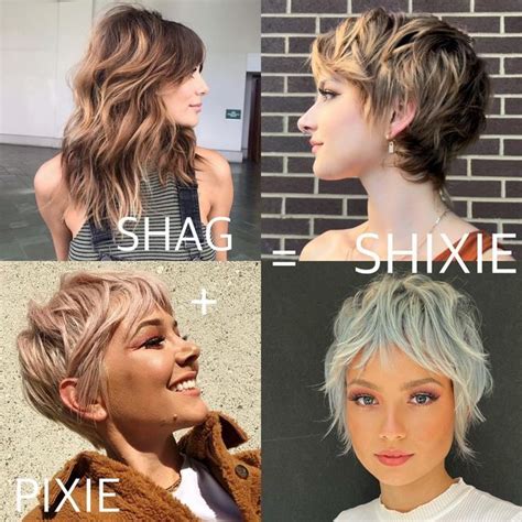 Briana Cisneros On Instagram Shag Pixie Shixie Nothing Like A Good Visual To Show The