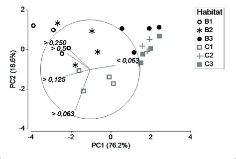 Principal Component Analysis Explaining 948 Of The Variation In
