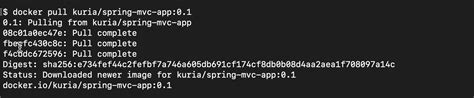 20 Docker Commands You Need To Know Kinsta®