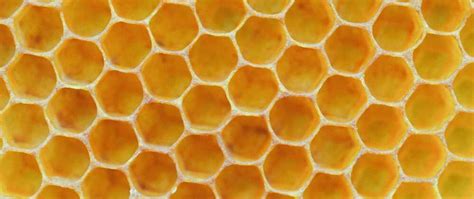 Merge TypeScript Enums DEV Community