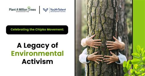 Chipko Movement History Indias Tree Hugging Protest Explained