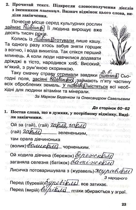 Сторінка 23 робочий зошит 4 клас українська мова Варзацька Зроль Шильцова