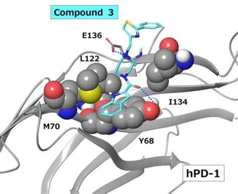 Figure 9 From Virtual Screening For Small Molecule Inhibitors Of Pd 1pd L1 Protein Protein