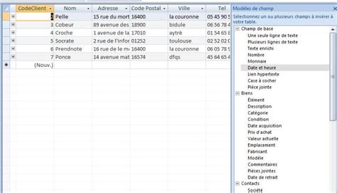 Accessajouterchampsapartirdesmodeles Maitrise Excel