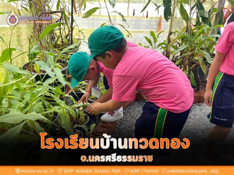 โรงเรียนบ้านทวดทอง ตำบลโพธิ์เสด็จ อำเภอเมือง จังหวัดนครศรีธรรมราช อุทยานพฤกษศาสตร์