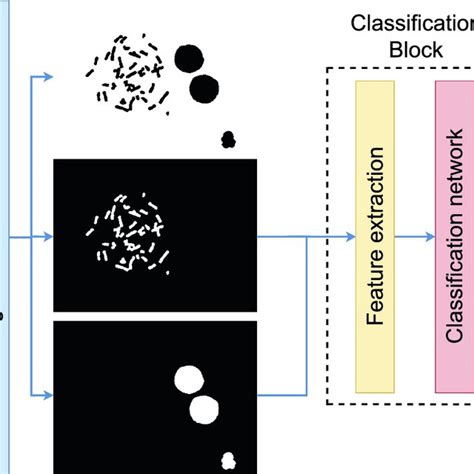 Proposed Denoising Method Comprised Of A Segmentation Network And A