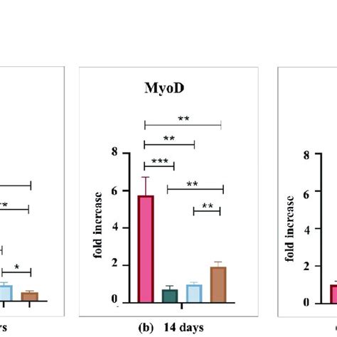 Gene Expression Analysis Of C2c12 Cultured Into The Different