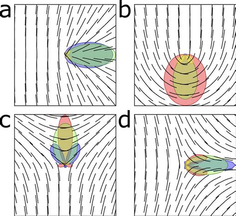 energy minimizing configurations of half integer topological defects on