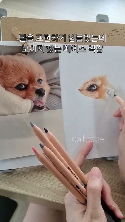 콩닥 두번째 그림 강아지그리기 취미 색연필그림 Youtube