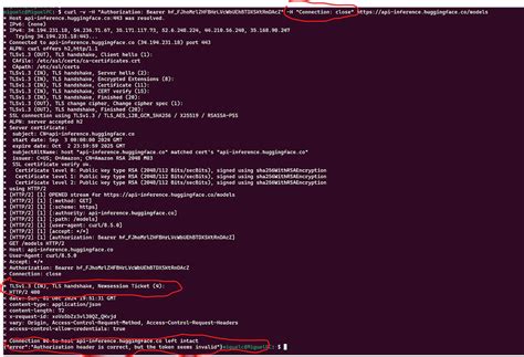 Assistance With 401 Unauthorized Error For Api Access 11 By