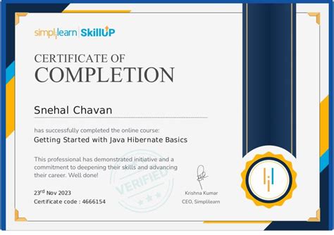 Completed Java Hibernate Course Snehal Chavan Posted On The Topic