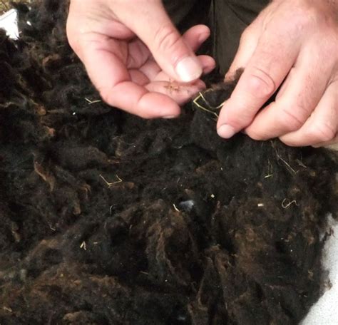 Fine Shetland Wool | Hazel Tindall