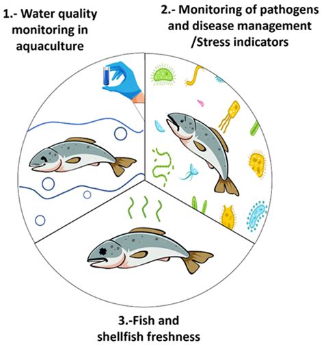 Progress In Plasmonic Sensors As Monitoring Tools For Aquaculture Quality Control