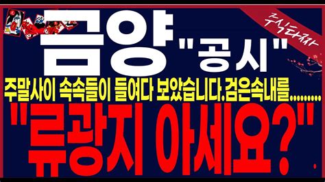 금양 주가 전망 20이상손실중이신분들은 반드시필수시청하시기바랍니다금양 금양주가전망 금양주가 금양대응전략 금양주식전망 금양주가분석 이차전지 Youtube