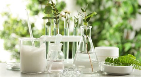 Actives And Functionals Ingredients Cosmetics