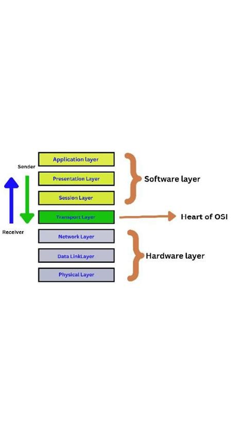 OSI Model