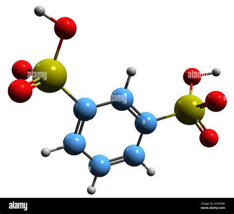 Hydrolysis Reaction