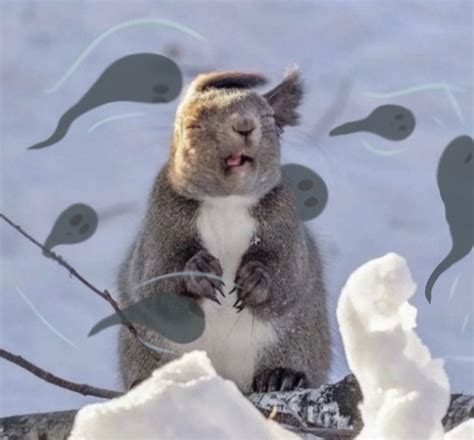 The Ghost Painter The Ghost Painter Tumblr Blog Tumlook