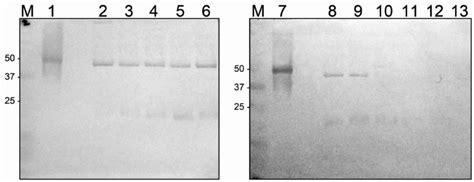 distributions of d values in elisa test od values are reported as