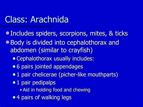 Ppt Exploring Arthropods Characteristics And Diversity Powerpoint