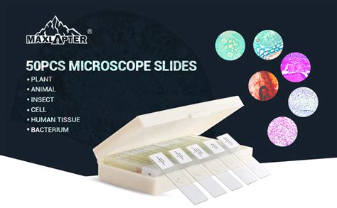 50pcs Prepared Microscope Slides Set Professional Grade Specimens For Basic Biological Science