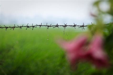 Premium Photo Selective Focus