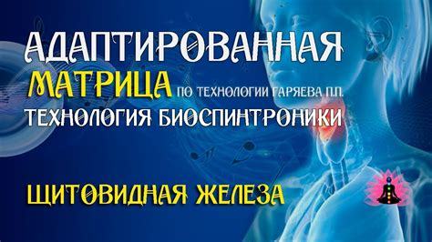 Щитовидная железа 🎶 программа матрица по технологии Гаряева П П ☀️ Youtube