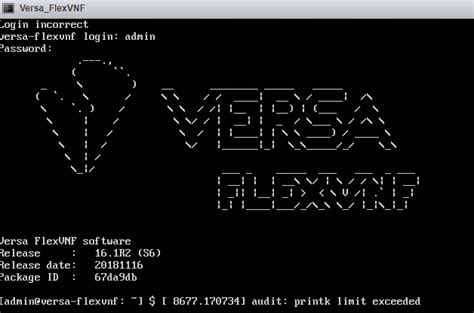 Install On Vmware Esxi Versa Networks