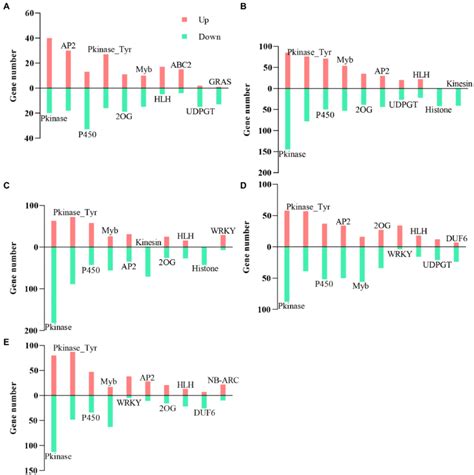 Top 10 Transcription Factor Tf Statistics Top 10 Tfs At 20 Dae