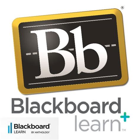 blackboard learn texas aandm university kingsville