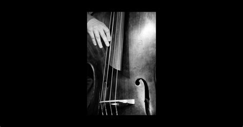 Jazz Bass Poster Jazz Posters And Art Prints Teepublic