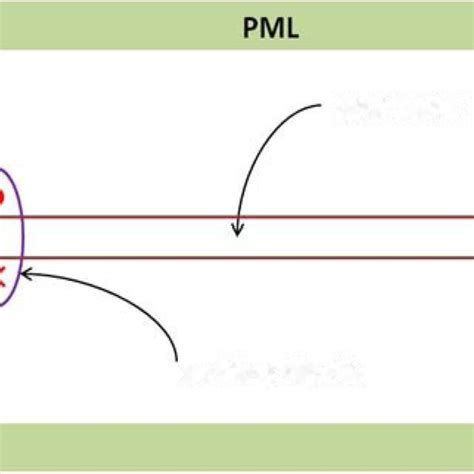 Schematic Diagram Of The C Fdtd Computational Domain Tm Spp On The Download Scientific Diagram