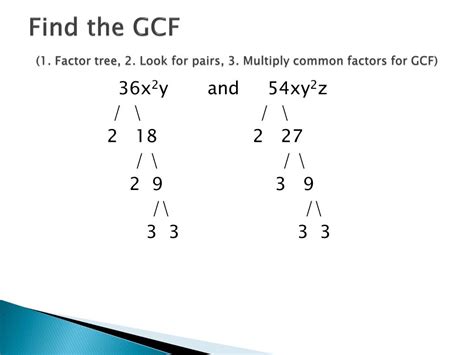 PPT Understanding Factors GCF Prime Numbers PowerPoint Presentation ID 2533031