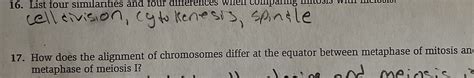 Solved Cell Division Cy To Kenesis Spindle17 ﻿how Does