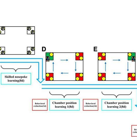 Intellicage Behavioral Testing Experimental Design A Free Download Scientific Diagram