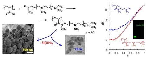 Polymers Free Full Text Polymeric Amines And Ampholytes Derived From Polyacryloyl Chloride