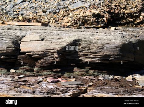 Sedimentary Rock Layers With Fossils