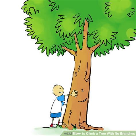 How To Climb A Tree With No Branches WikiHow